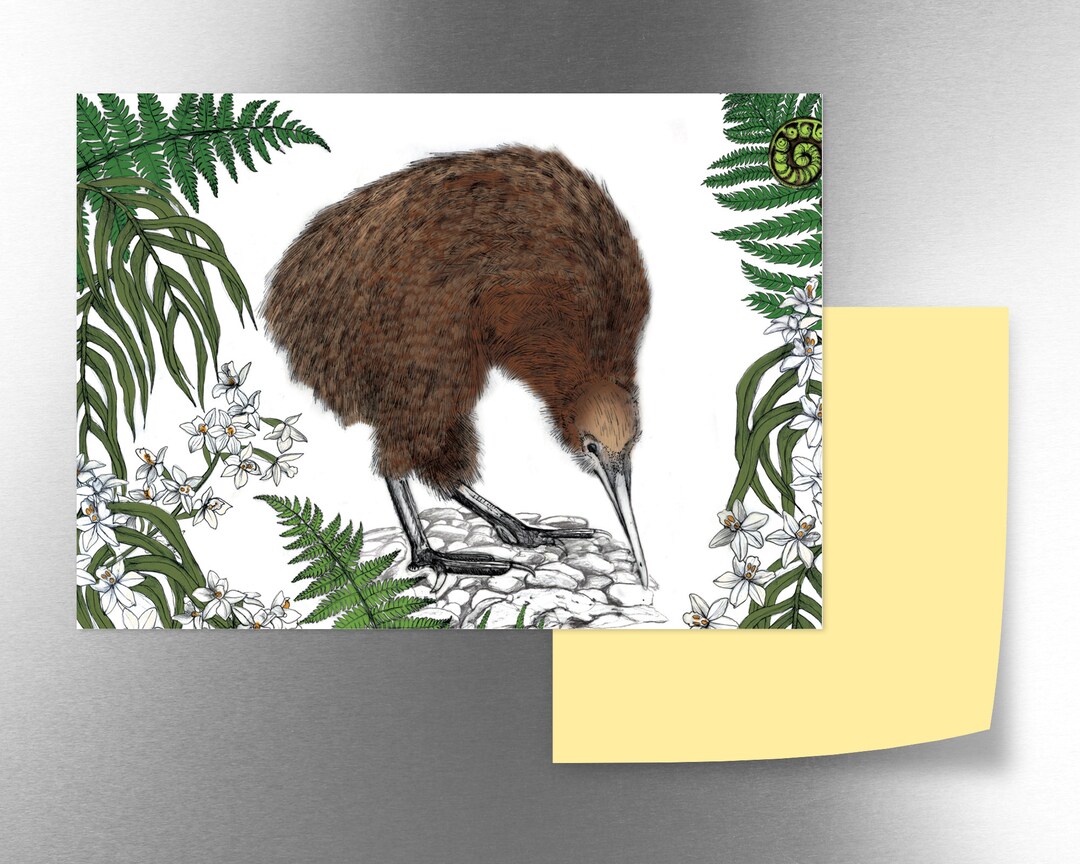 New Zealand Native Kiwi & Easter Island Orchid Illustrated Fridge ...