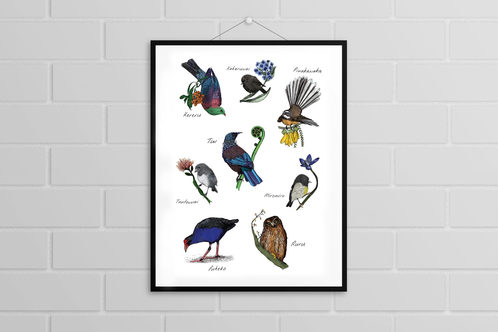 Native NZ Bird Print A3 - Etsy