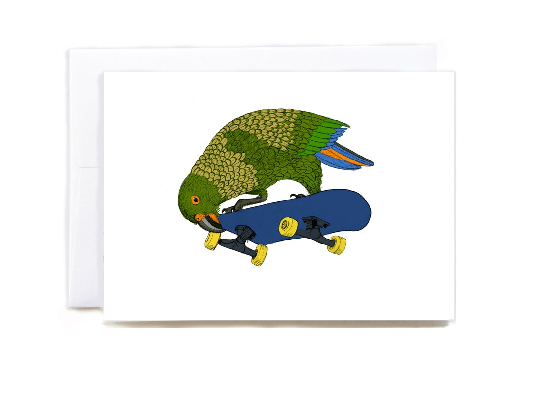 Kea Tweak Greeting Card | Illustrated Native New Zealand Alpine Parrot ...