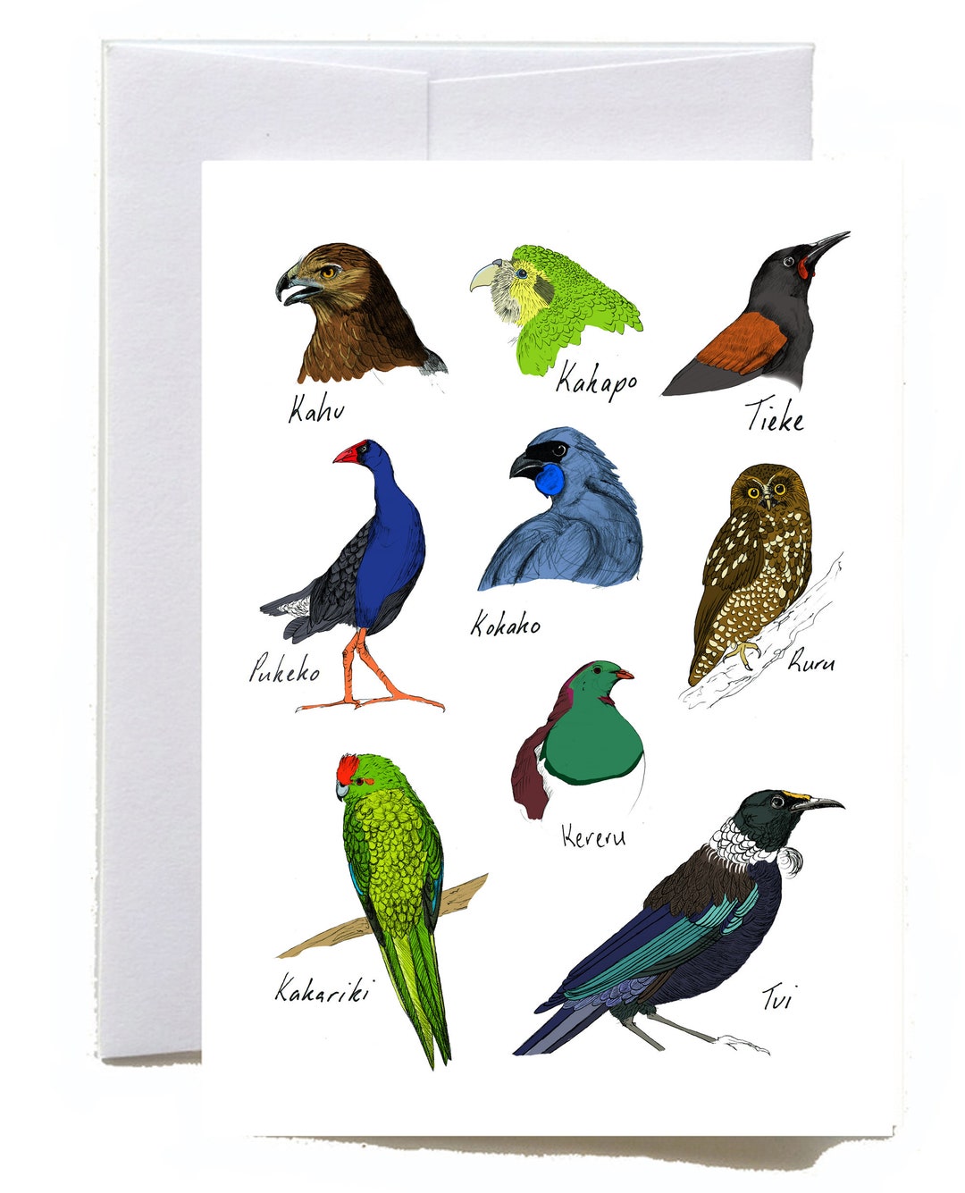 New Zealand Native Birds Greeting Card | Illustrated Bird Art | Blank ...