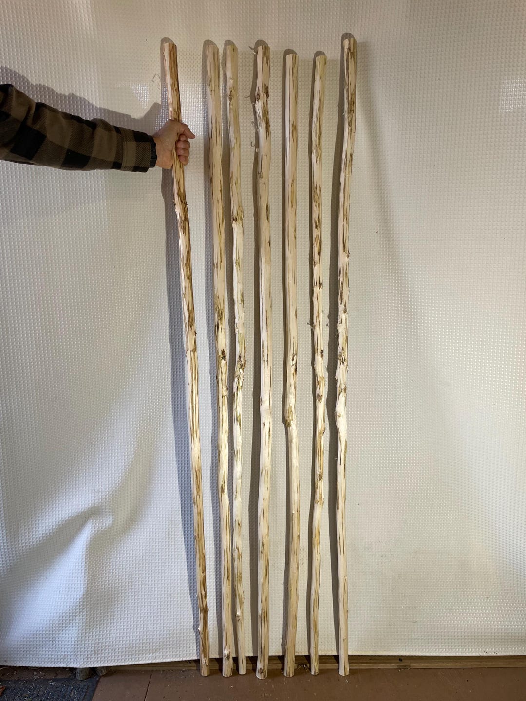 Seven 64" to 65" Aspen Hiking Stick Blanks (#1668) - Etsy