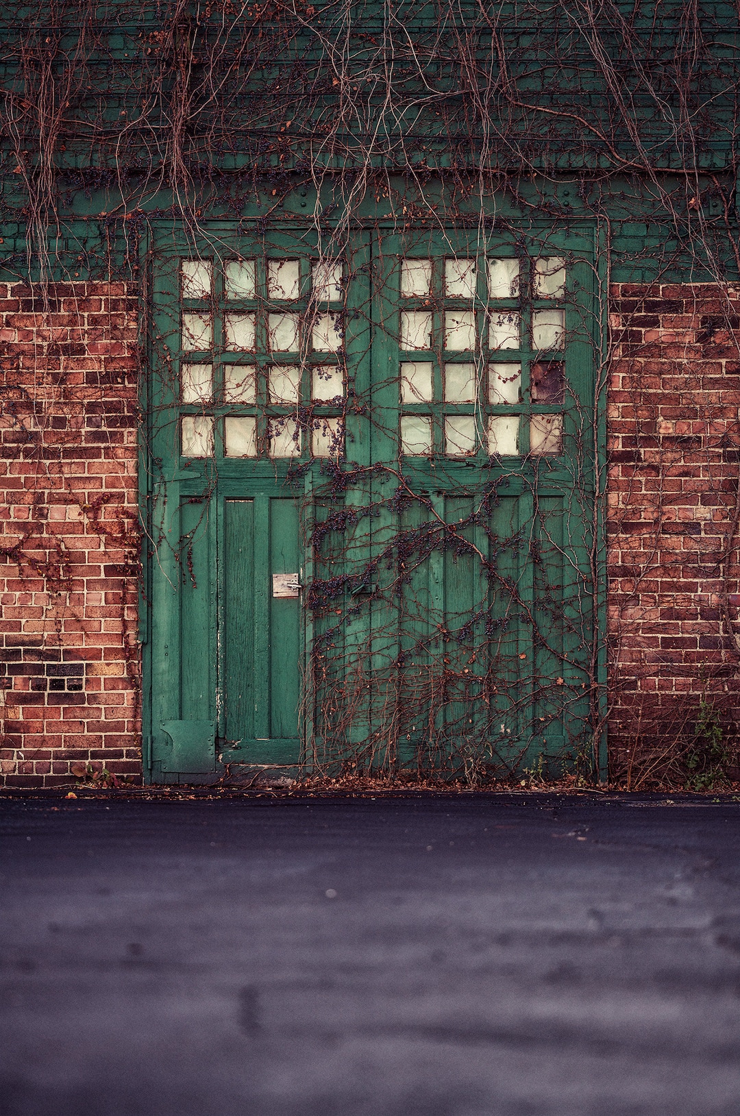 Digital Background | Rustic Door With Vines | Photoshop Composite - Etsy