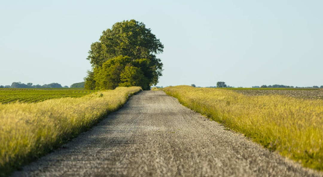 Digital Background | Tree Next to a Rocky Road | Photoshop Composite - Etsy