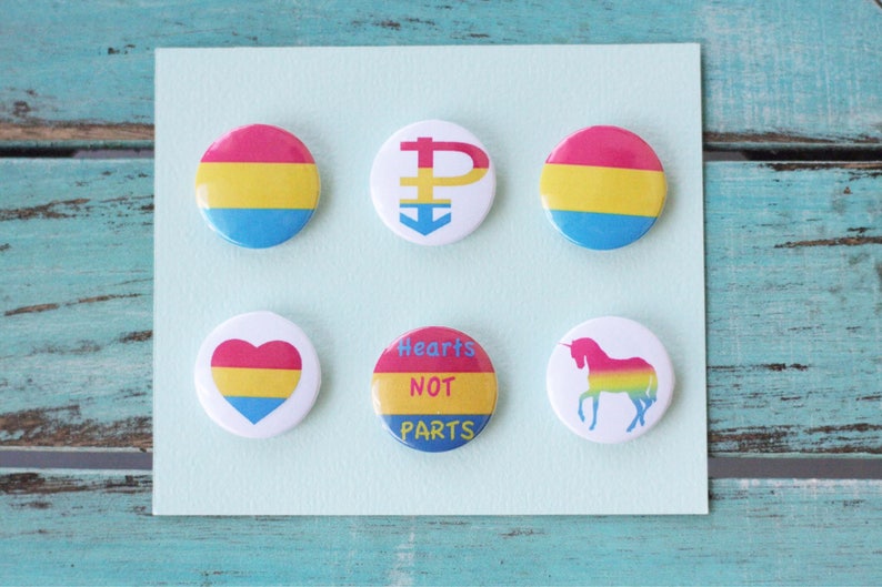 Pansexual Pride Pins A Total Set Of 6 Pins Show Ur Pride Etsy