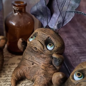 MANDRAKE PLANT- Mandrake Witchy Plants Magic Wonder Fantasy Potions ...
