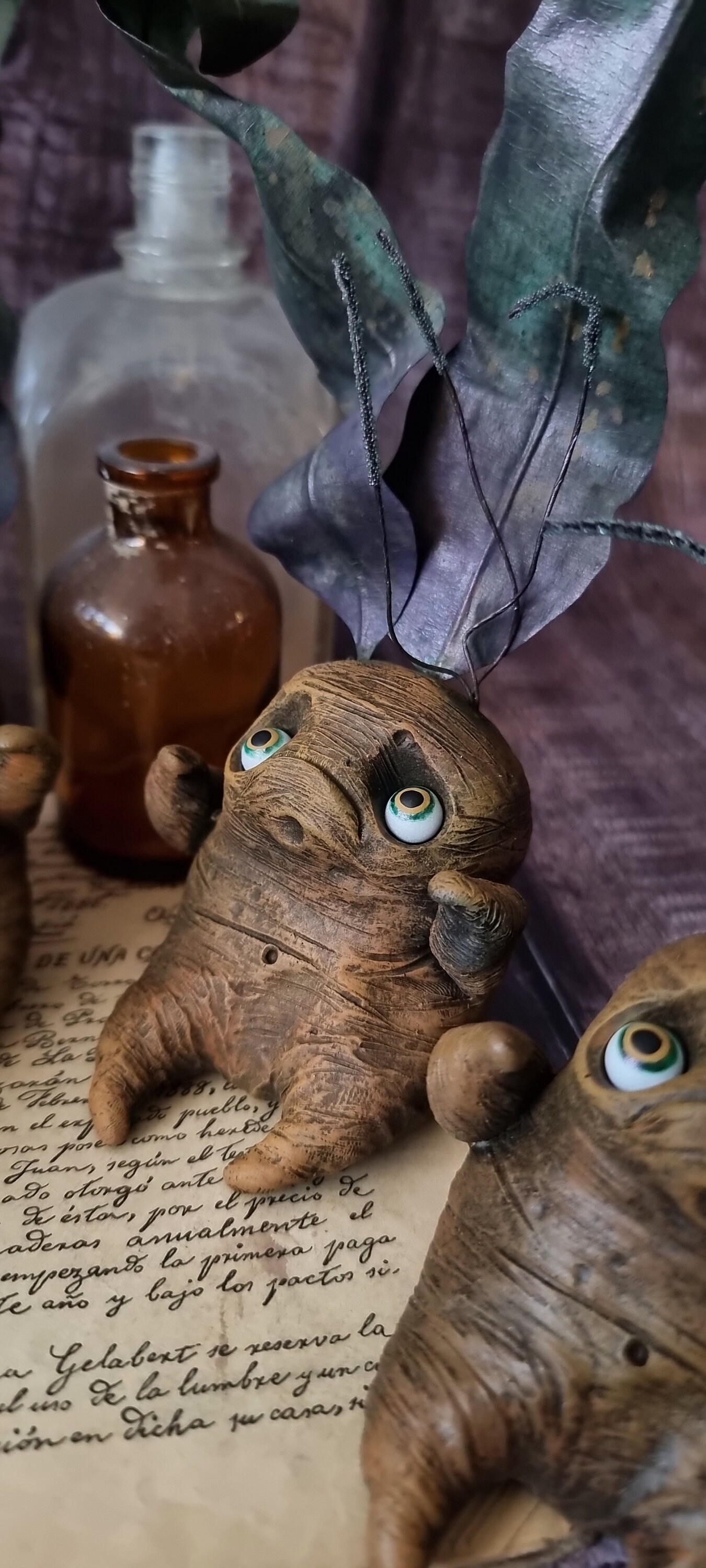 MANDRAKE PLANT- Mandrake Witchy Plants Magic Wonder Fantasy Potions ...