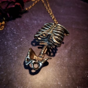 SKELETON NECKLACE - Anatomy Steampunk Jewelry Spooky Halloween Gift ...