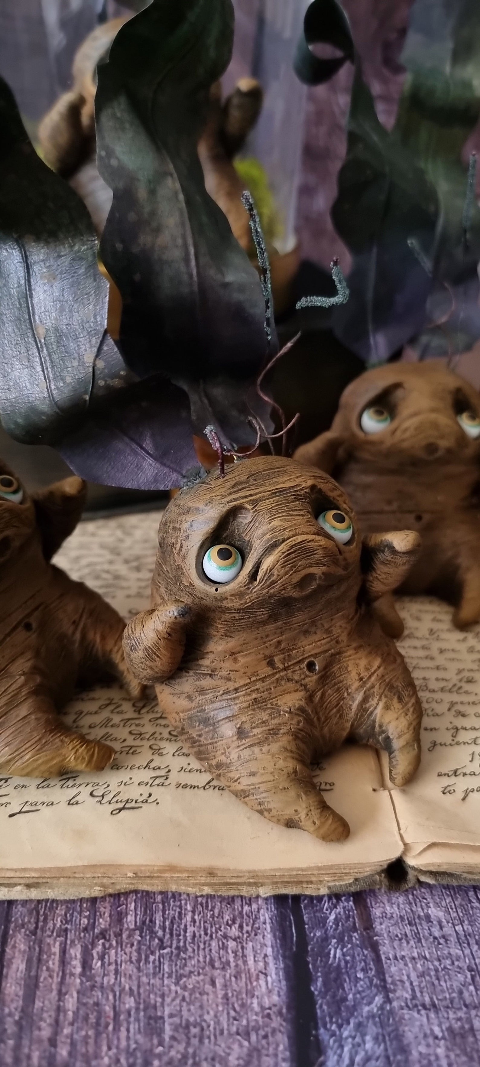 MANDRAKE PLANT- Mandrake Witchy Plants Magic Wonder Fantasy Potions ...
