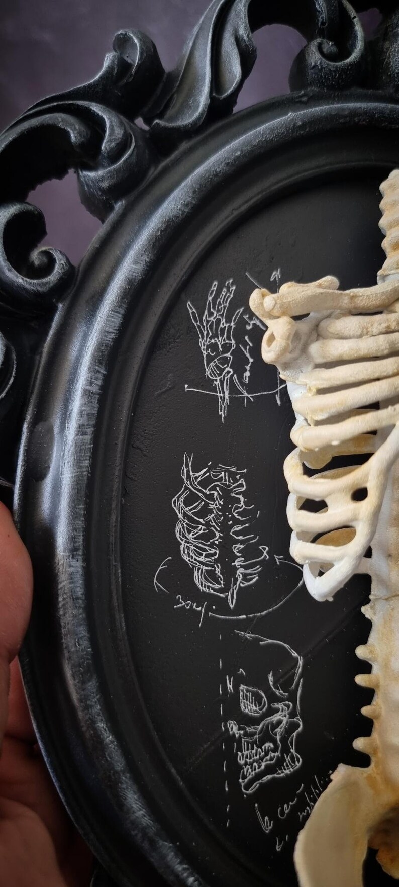 ANATOMY FRAME - Skull Medical Horror Home Decor Halloween Gothyc Decor ...