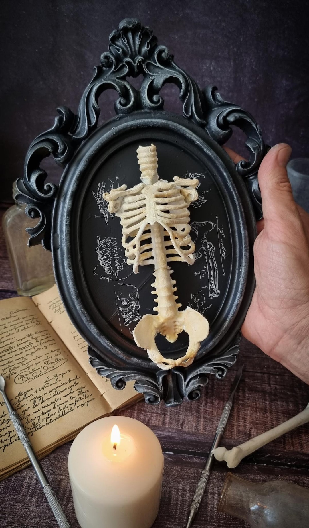 ANATOMY FRAME - Skull Medical Horror Home Decor Halloween Gothyc Decor ...