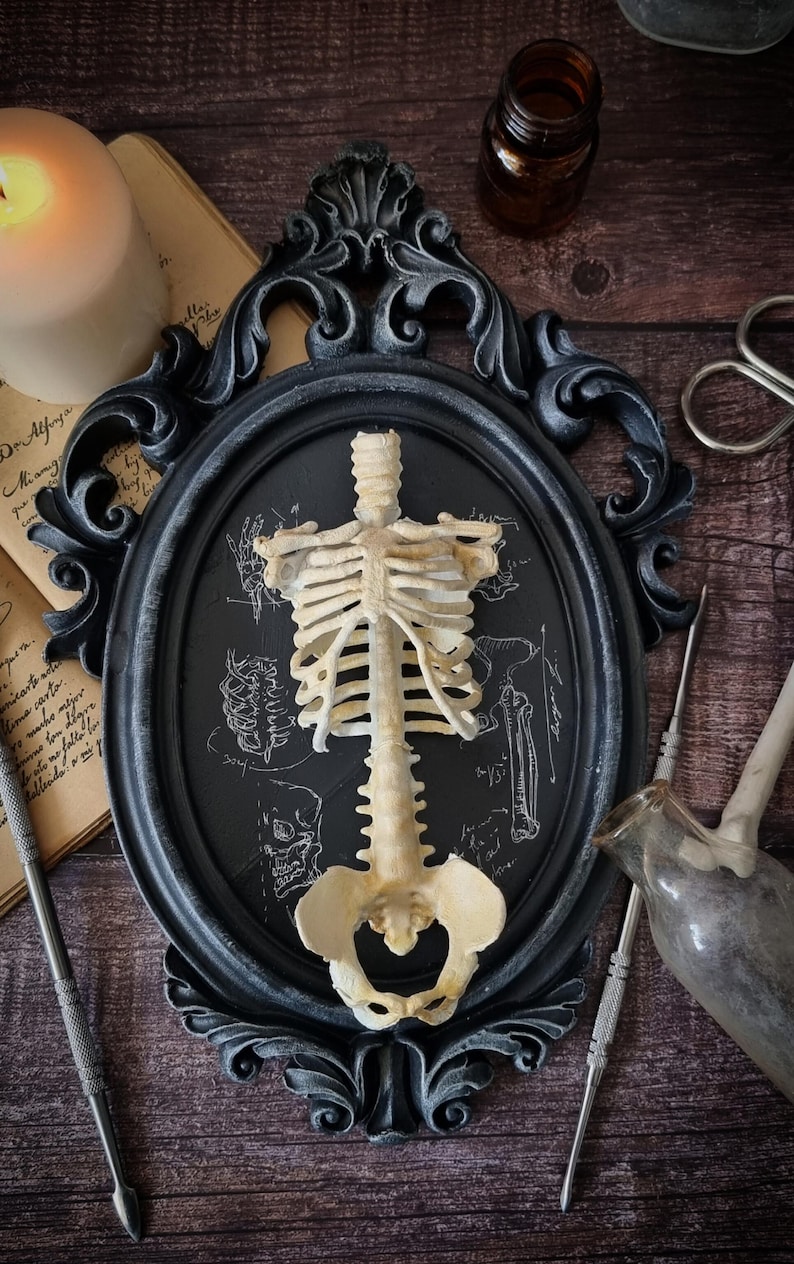 ANATOMY FRAME - Skull Medical Horror Home Decor Halloween Gothyc Decor ...