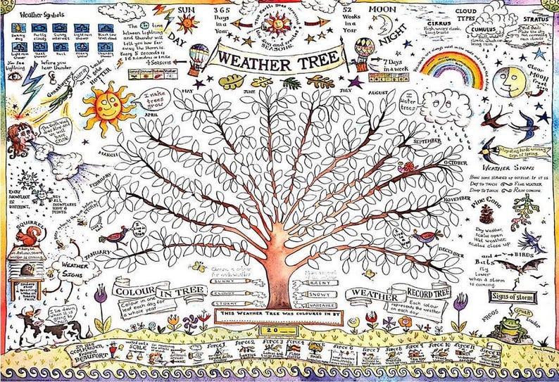 Giant Weather Colouring Poster - 100 X 70cm - Etsy