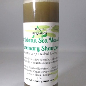 Sea Moss & Rosemary Natural Shampoo 8 Oz. or 16 Oz. Moisturizing ...