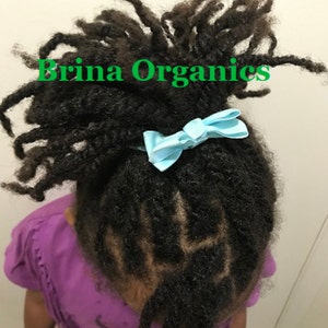 Chocolate Sea Moss & Bamboo Hair Milk and Co-wash Conditioner, Brina ...