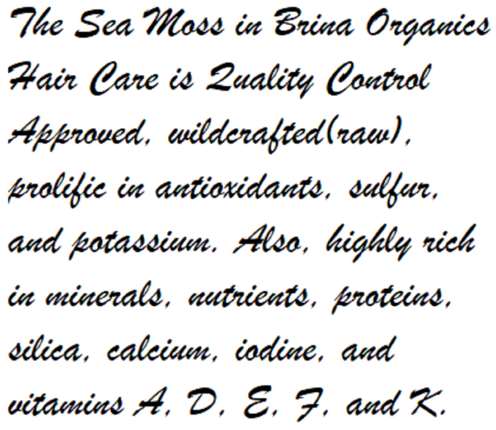 Sea Moss & Rosemary Natural Shampoo 8 Oz. or 16 Oz. Moisturizing ...
