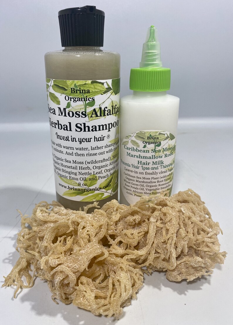 Sea Moss Alfalfa Shampoo and Sea Moss & Marshmallow Root - Etsy