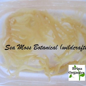 Organic African Chebe & Sea Moss Hair Smoothie, Low Porosity Hair ...