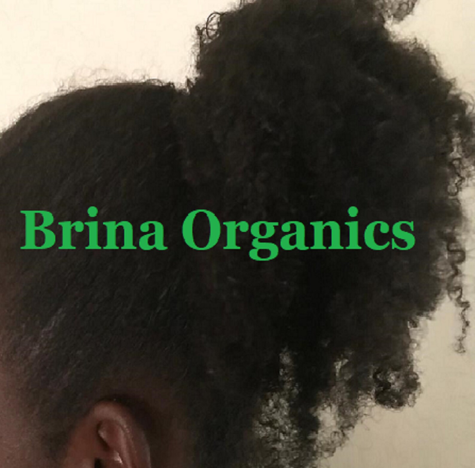 Sea Moss & Rosemary Natural Shampoo 8 Oz. or 16 Oz. Moisturizing ...
