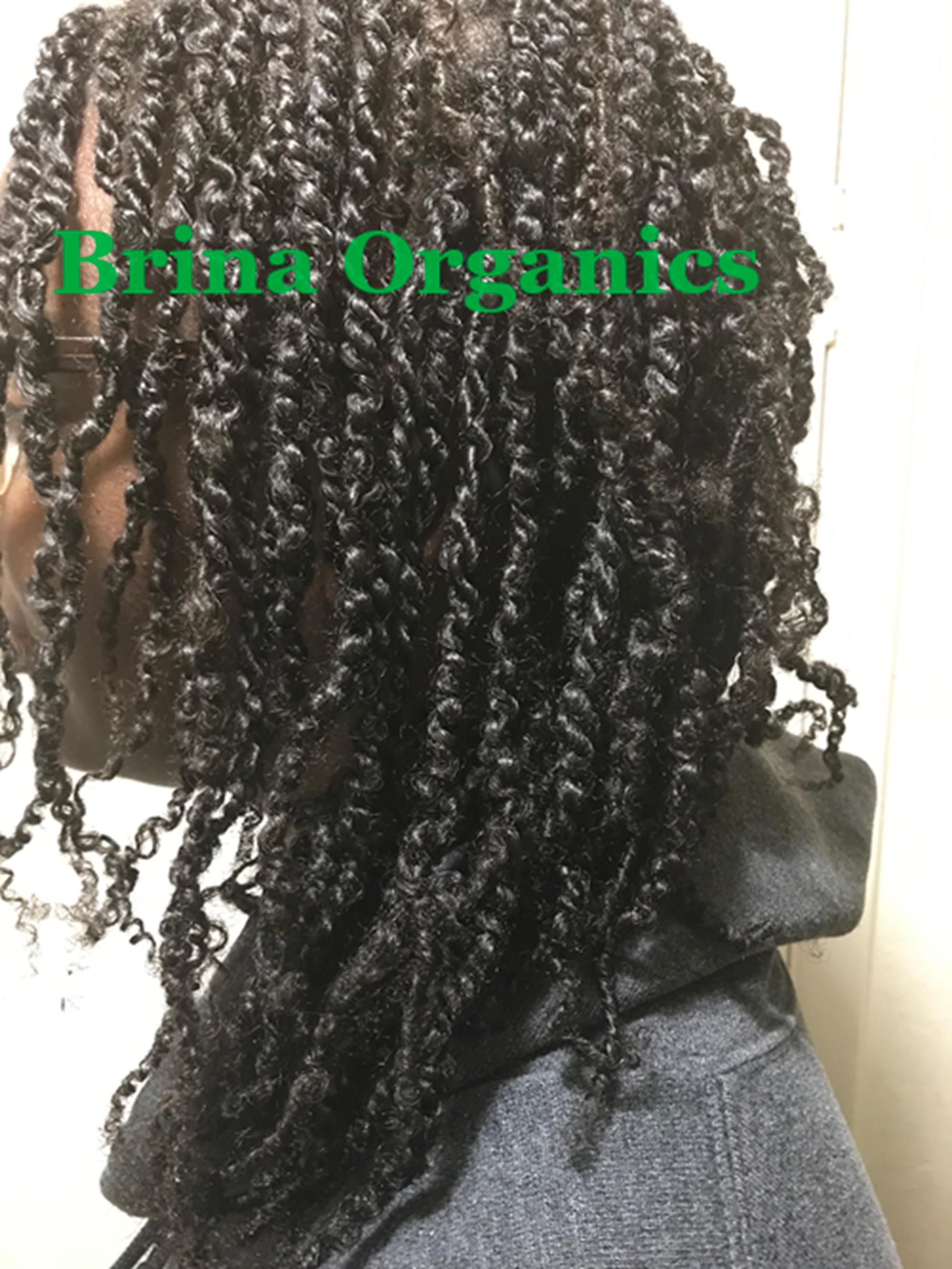 Clove & Chebe Shampoo, Natural Shampoo Scalp Care, Brina Organics - Etsy