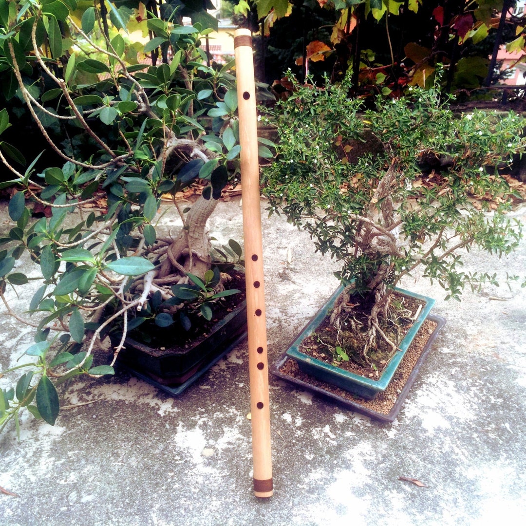 Bansuri in F, Bamboo Flute in F, Indian Flute in F - Etsy