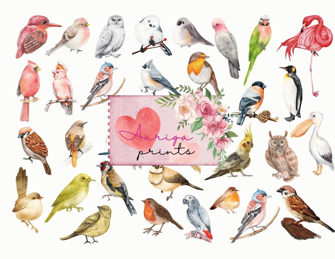 70 Pcs Birds Fussy Cut Printable - Vintage Bird Ephemera for Junk ...