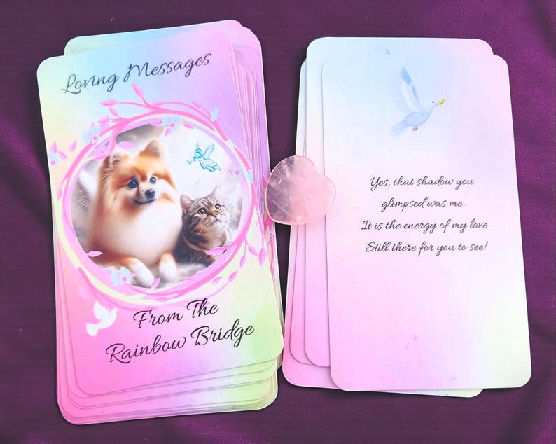 Rainbow Bridge Pet Loss Grief Cards, Loving Messages Deck for Healing ...