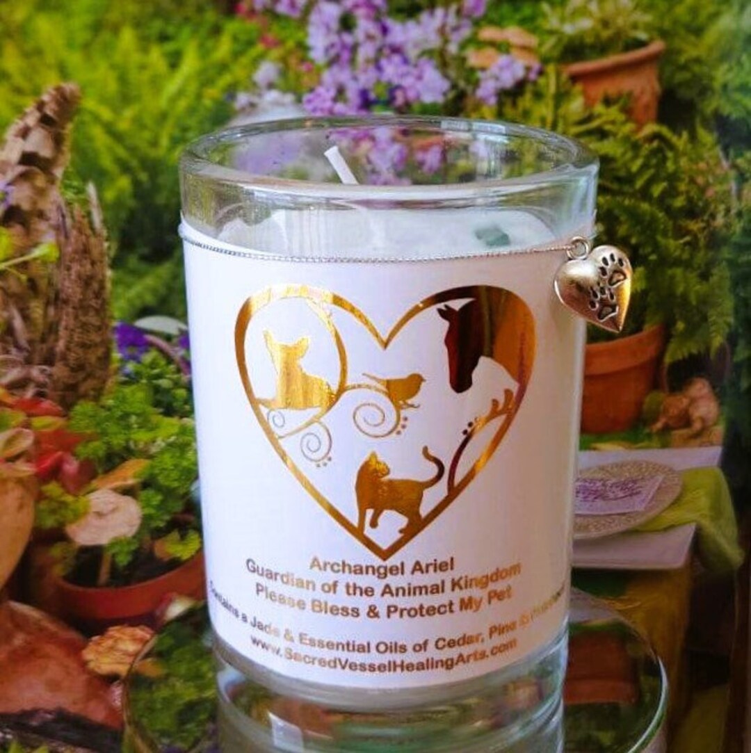 PET BLESSING 3x4 12 Oz Soy Jar Candle Archangel Ariel Jade ...