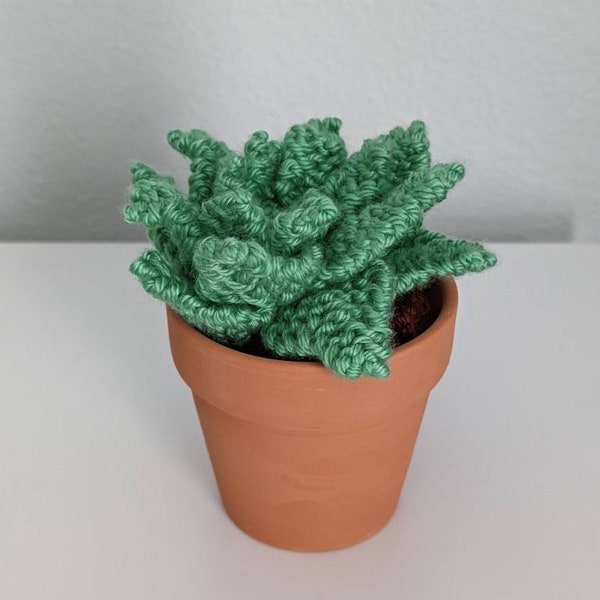 Knitted Succulents - Etsy