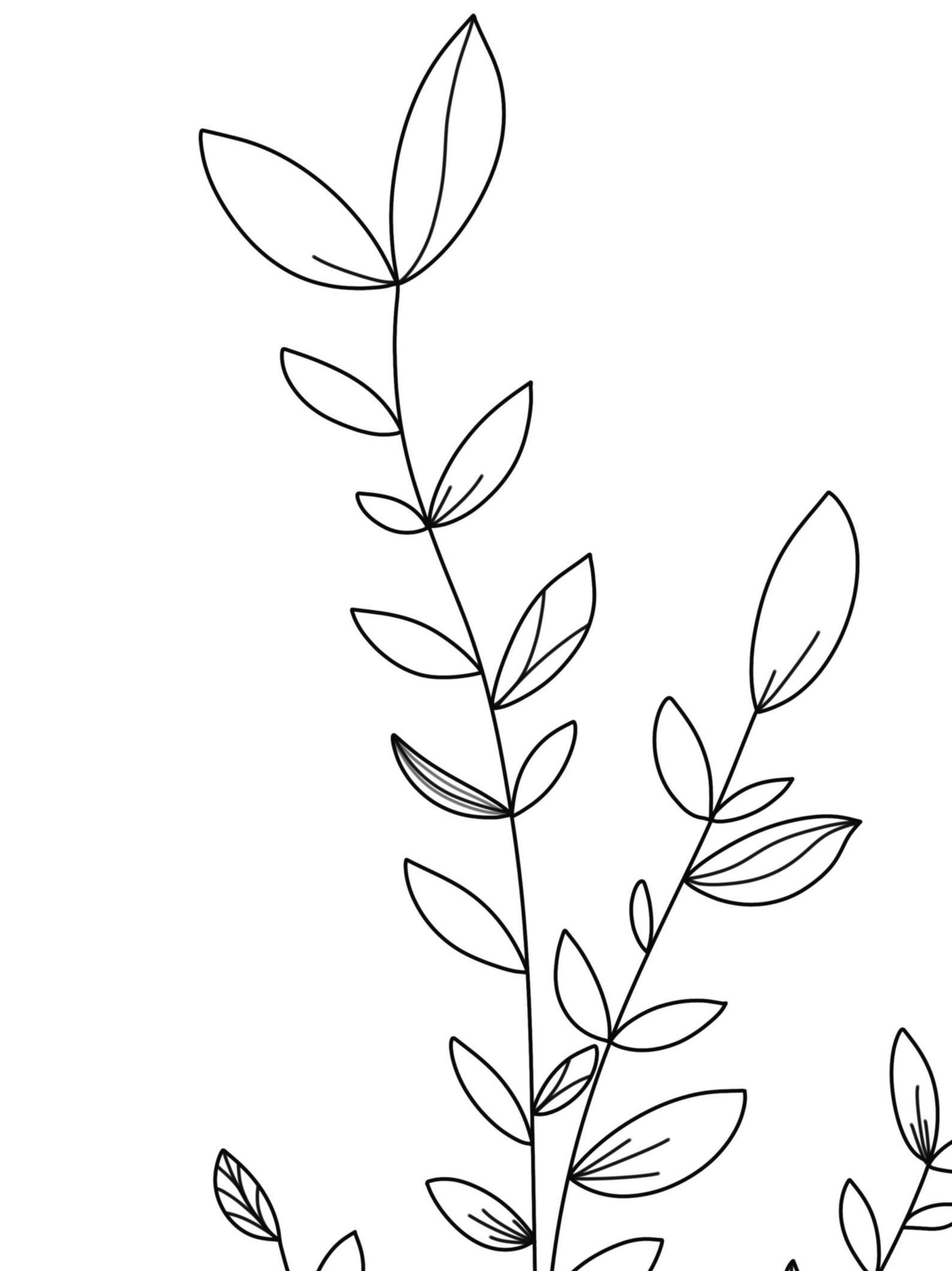 Botanical Print Set Printable Greenery Drawings Botanical - Etsy