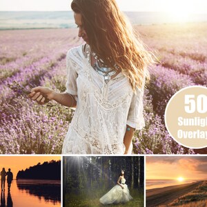 50 Natural Sunlight Photo Overlays | Sun Bokeh, Light Leak, Rays ...