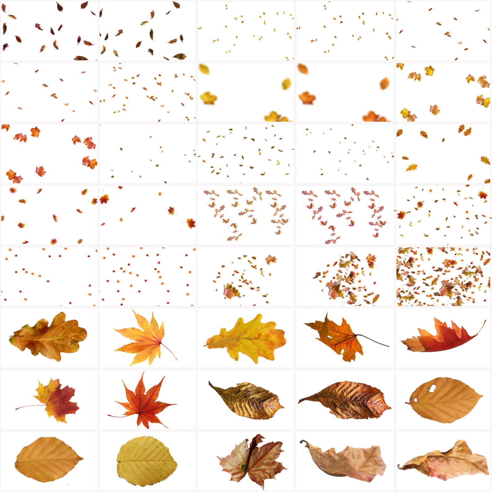 40 Autumn Leaves Overlays Falling Leaves Photoshop - Etsy UK