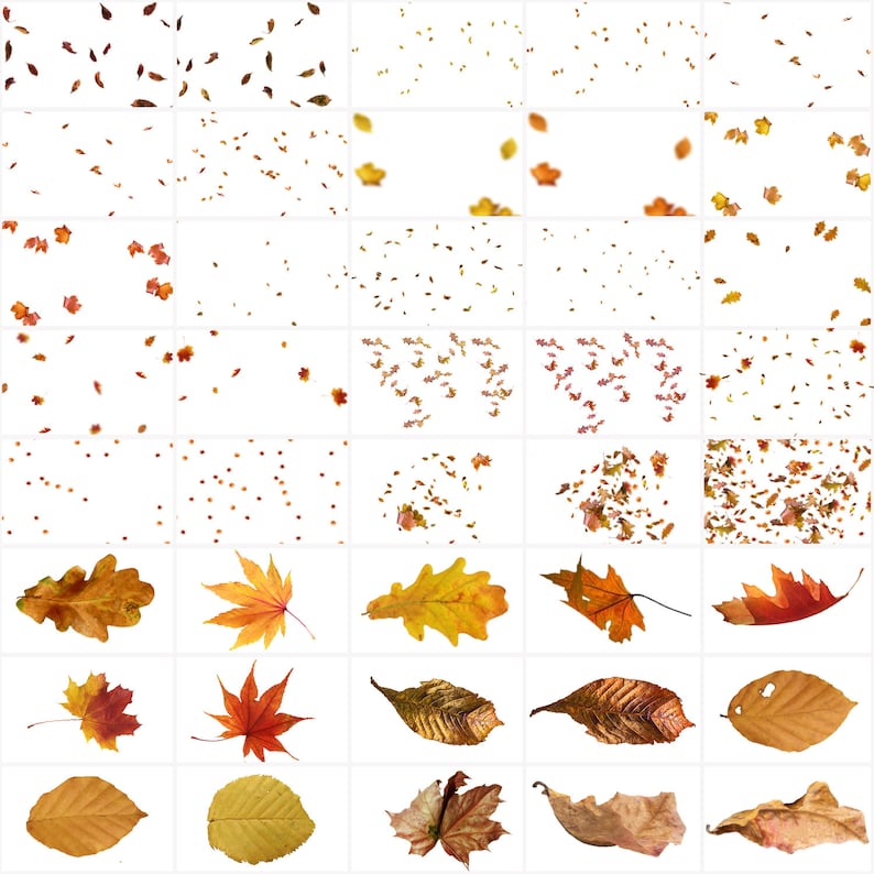 40 Autumn Leaves Overlays Falling Leaves Photoshop - Etsy UK