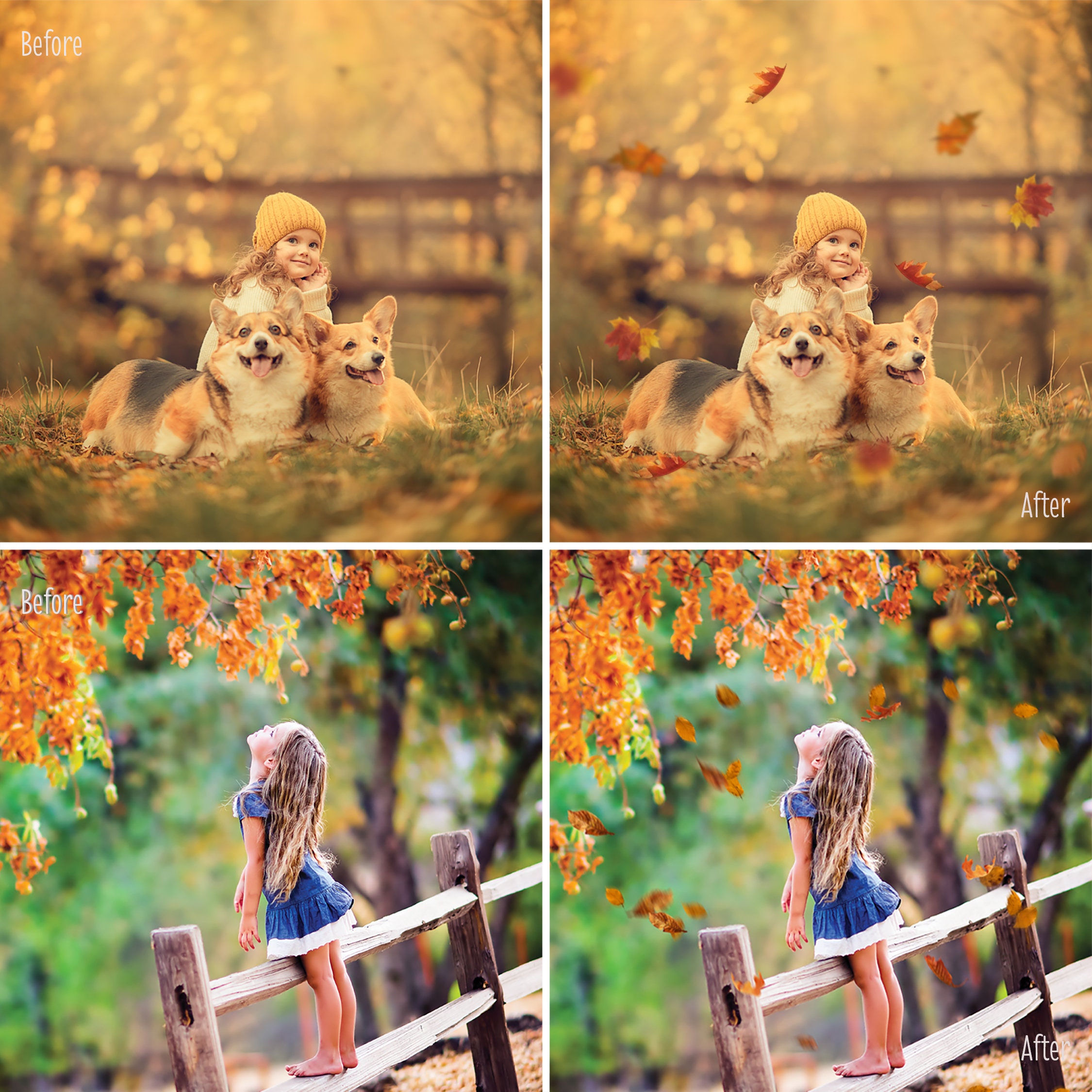 40 Autumn Leaves Overlays Falling Leaves Photoshop - Etsy UK