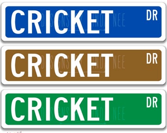 Indoor Cricket, Indoor Cricket Sign, Indoor Cricket Fan, Indoor Cricket ...
