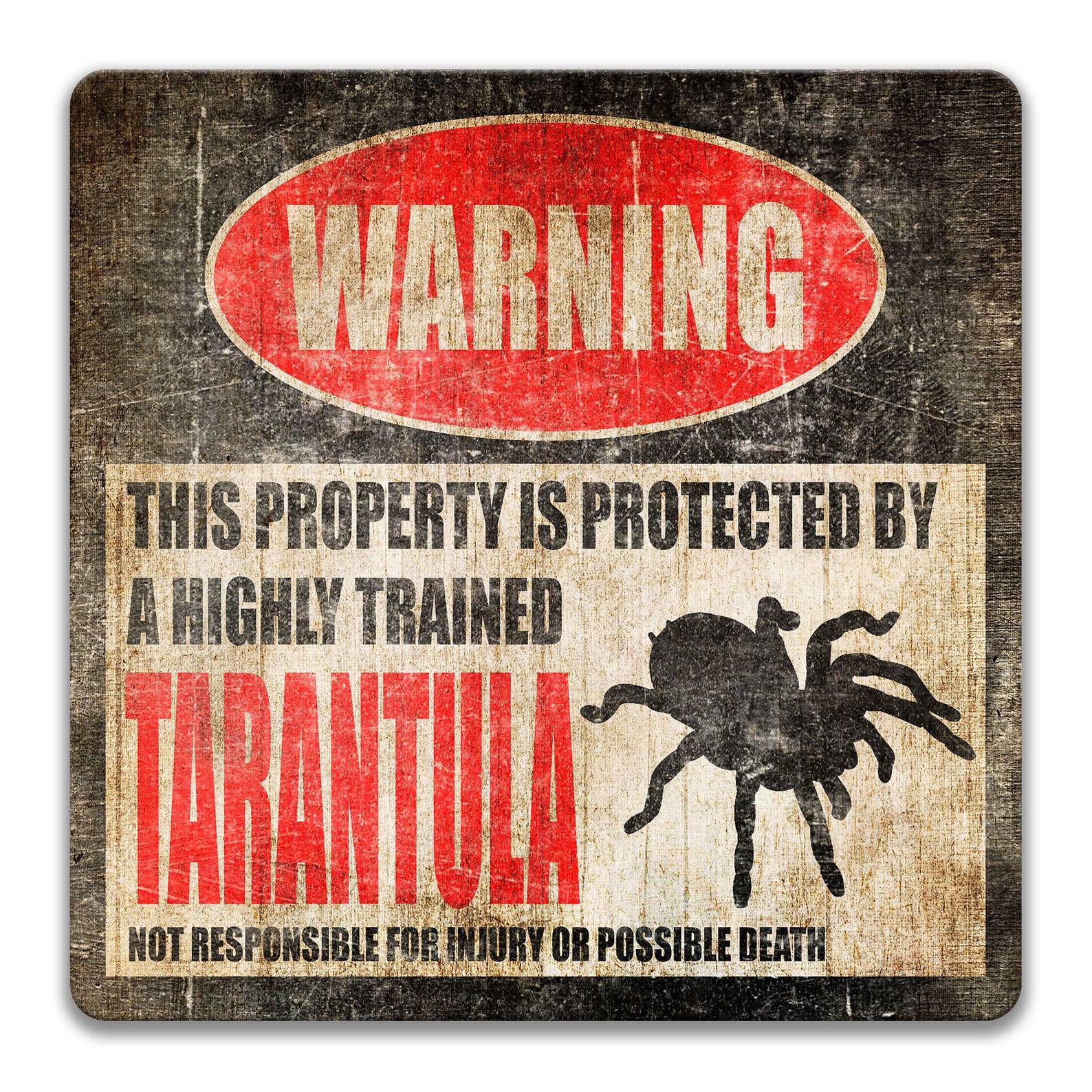Tarantula Sign Pet Tarantula Sign Tarantula Sign Accessories Tarantula ...