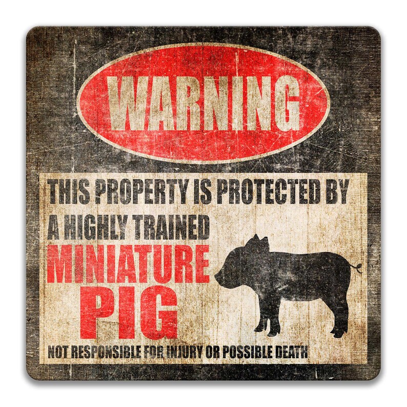 Pig Sign Miniature Pig Warning Sign Funny Pig Sign Pig Barn - Etsy