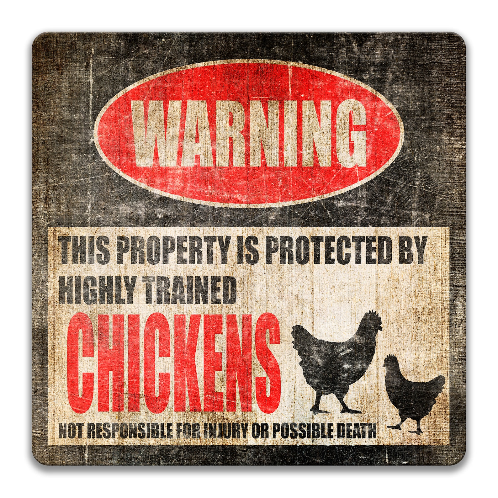 Chicken Sign Funny Chicken Sign Chicken Coop Sign Chicken Decor Barn ...