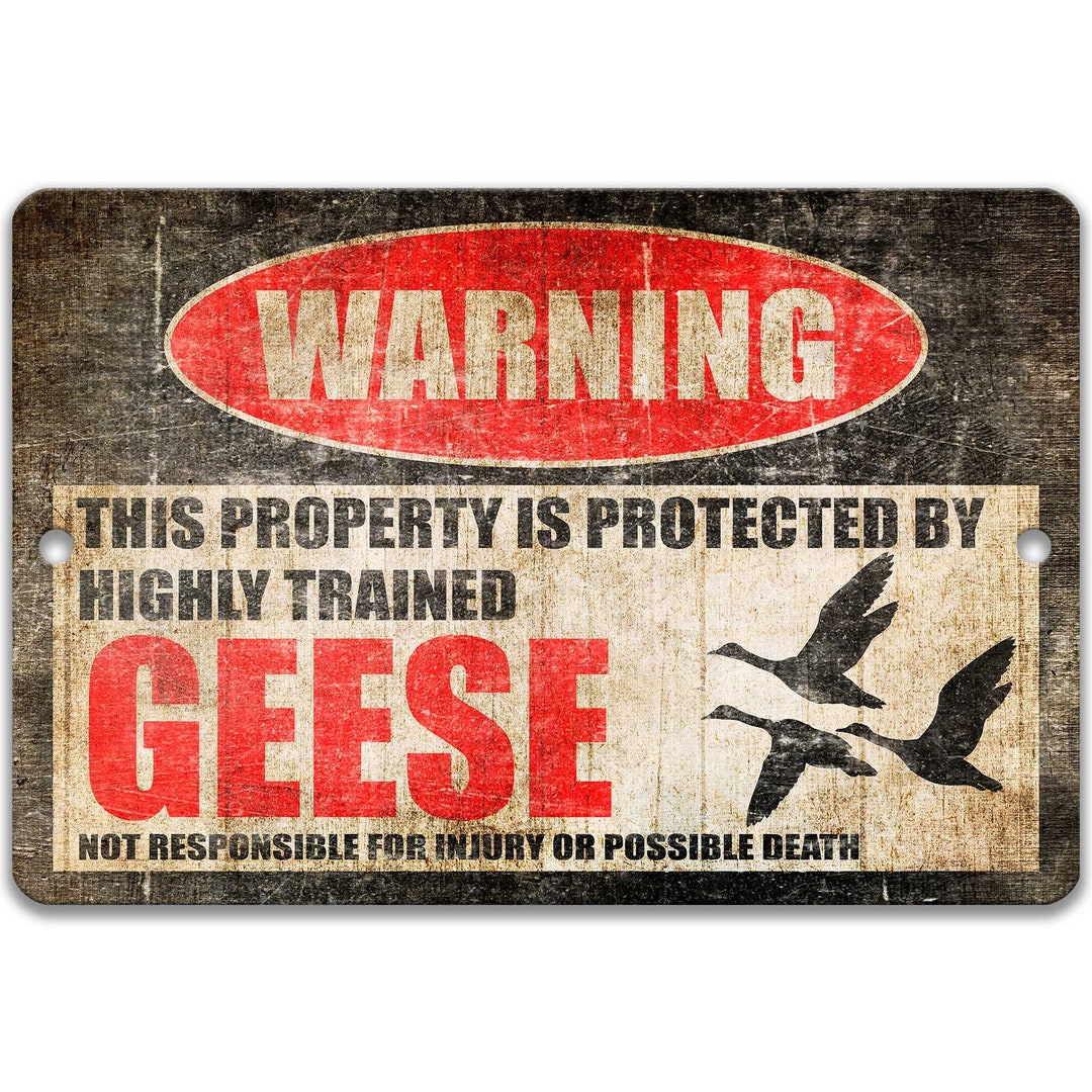 Goose Sign Goose Warning Sign Funny Goose Sign Goose Coop Sign Goose ...