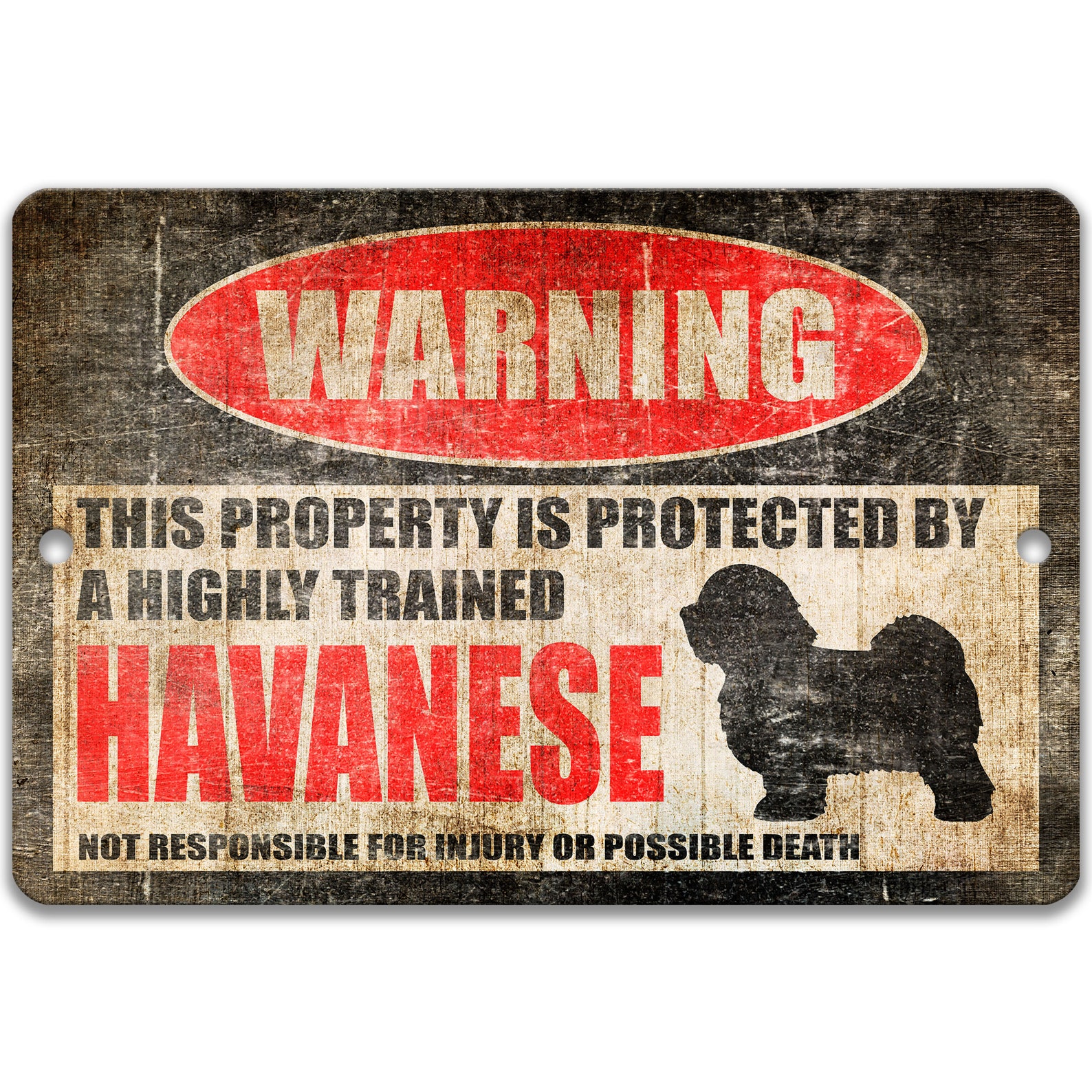 Havanese Sign Funny Havanese Sign Havanese Dog Sign Funny - Etsy