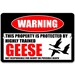 Goose Sign Goose Warning Sign Funny Goose Sign Goose Coop Sign - Etsy
