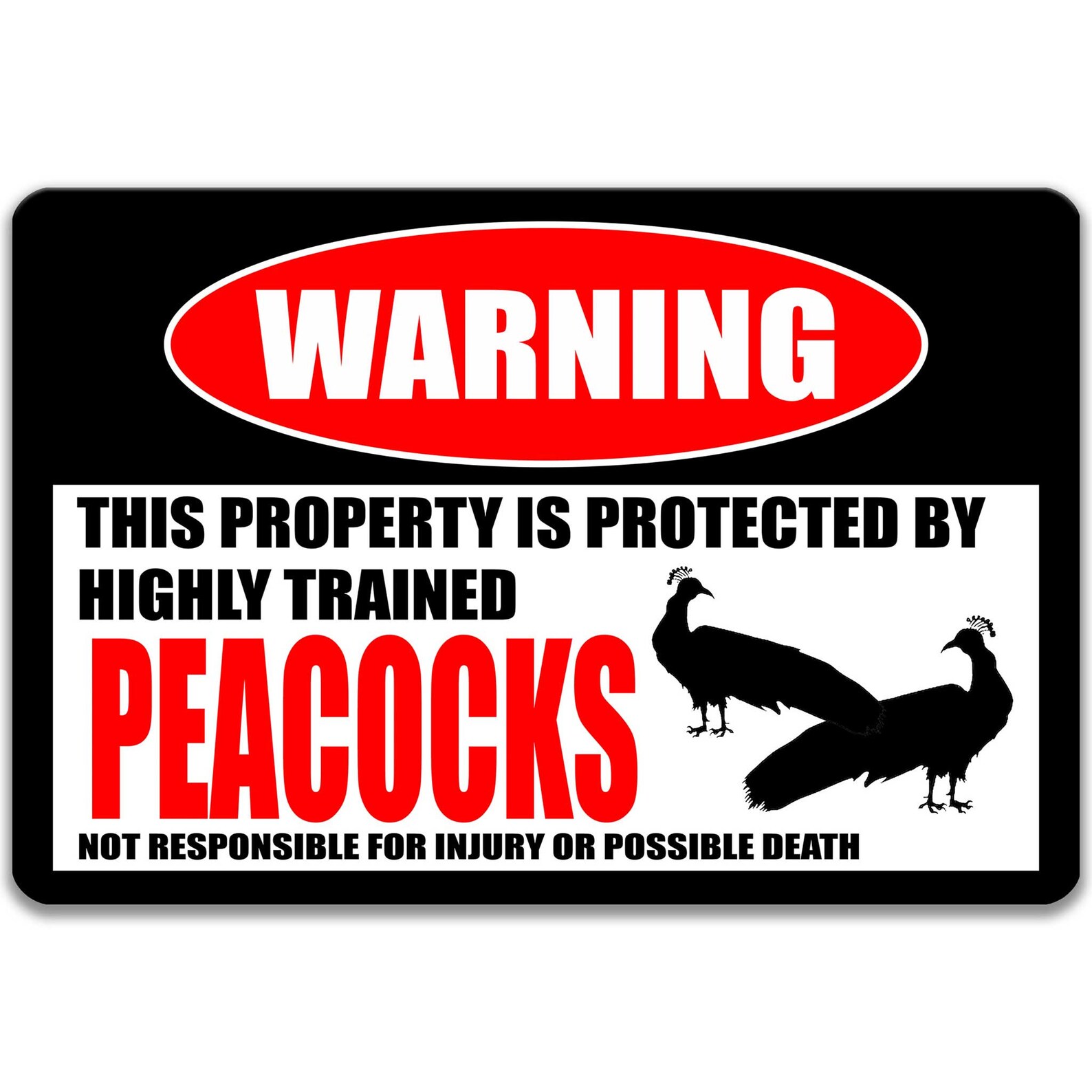 Peacocks Sign Funny Peacocks Sign Farm Sign Peacock Decor Barn - Etsy
