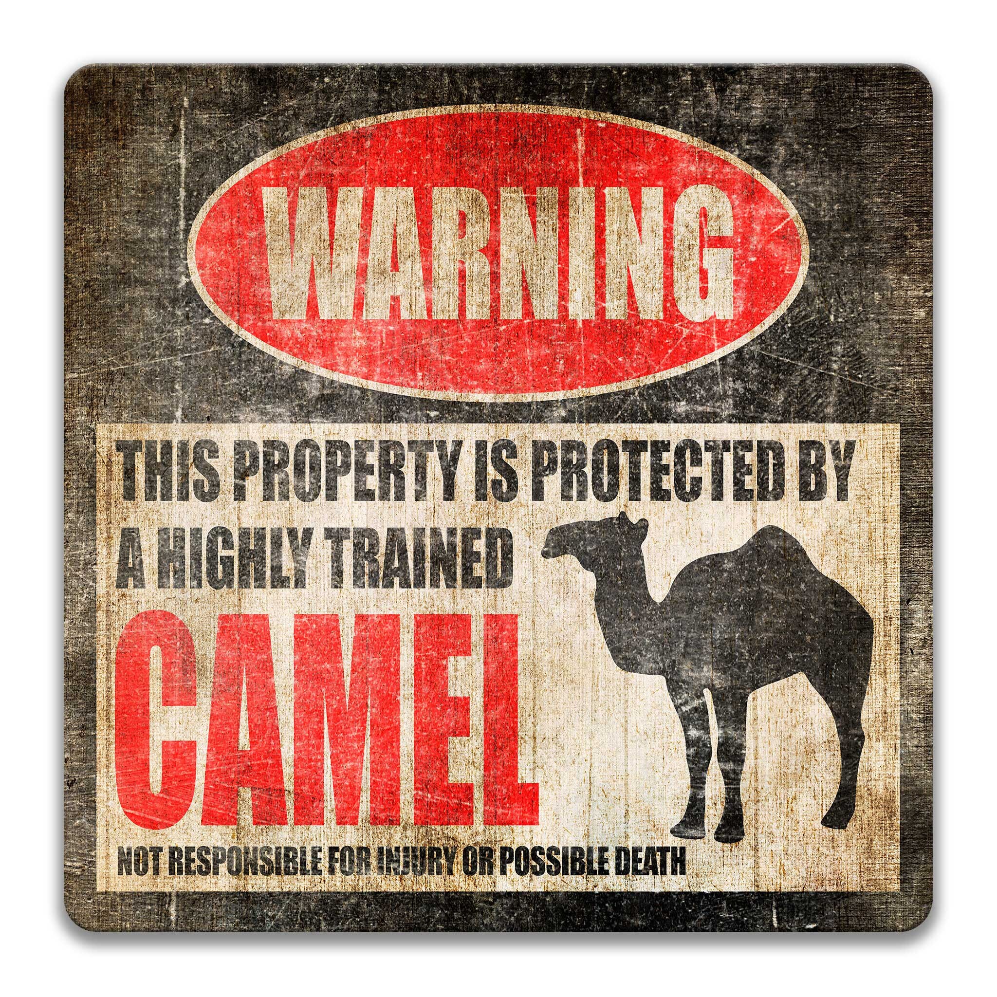 Camel Sign Camel Warning Sign Funny Camel Decor Sign Warning | Etsy