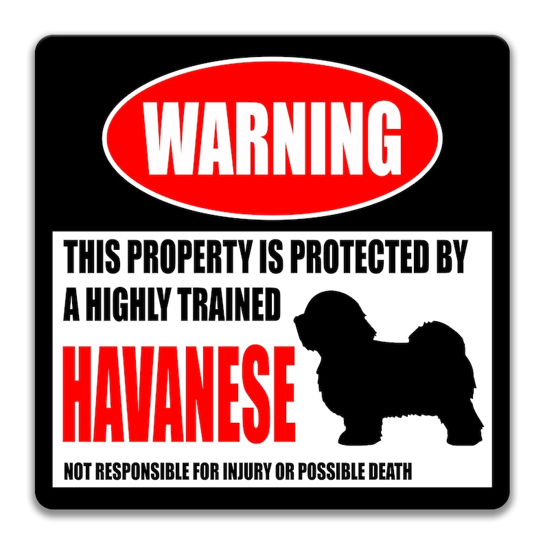Havanese Sign Funny Havanese Sign Havanese Dog Sign Funny - Etsy