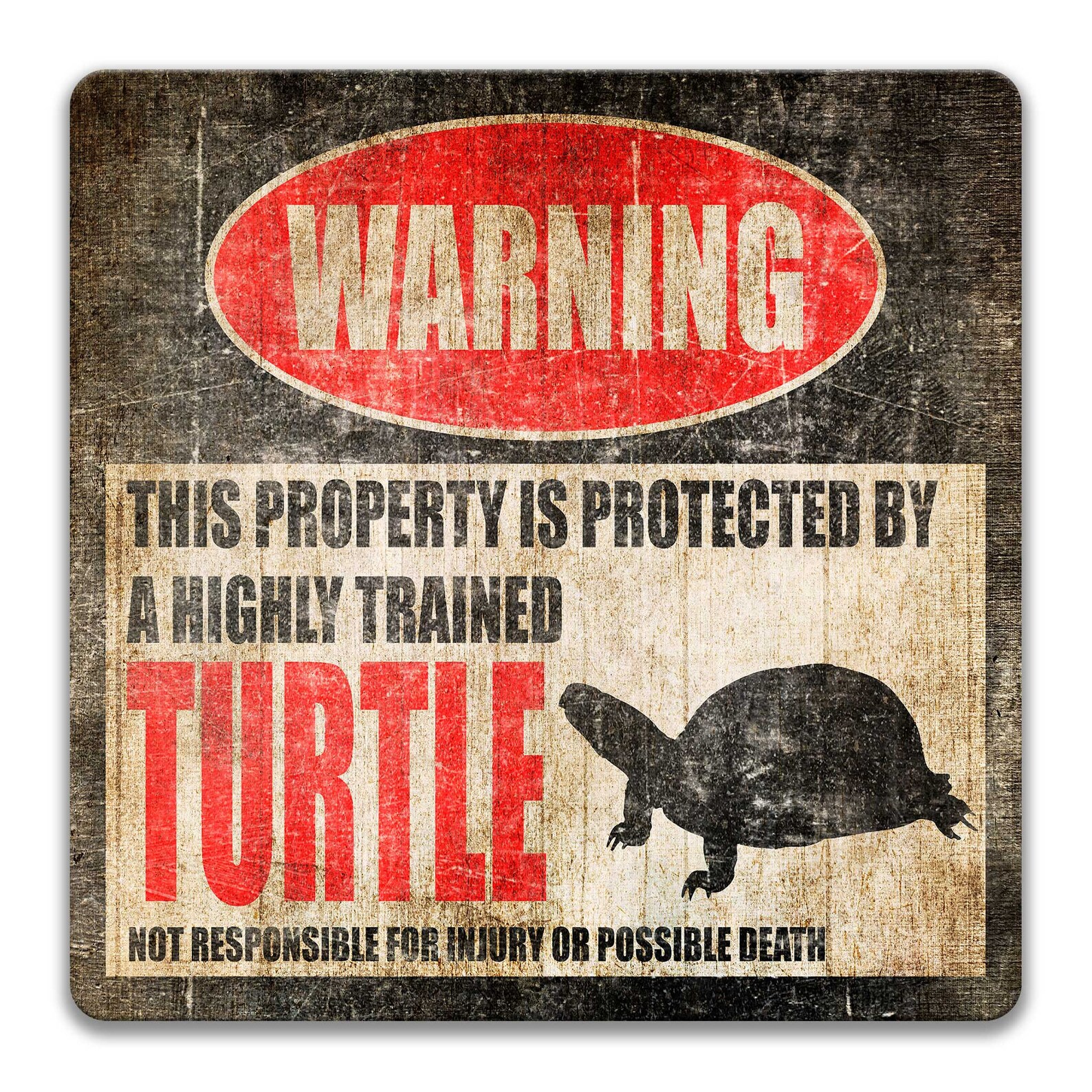 Turtle Accessories Turtle Sign Reptile Sign Funny Turtle - Etsy