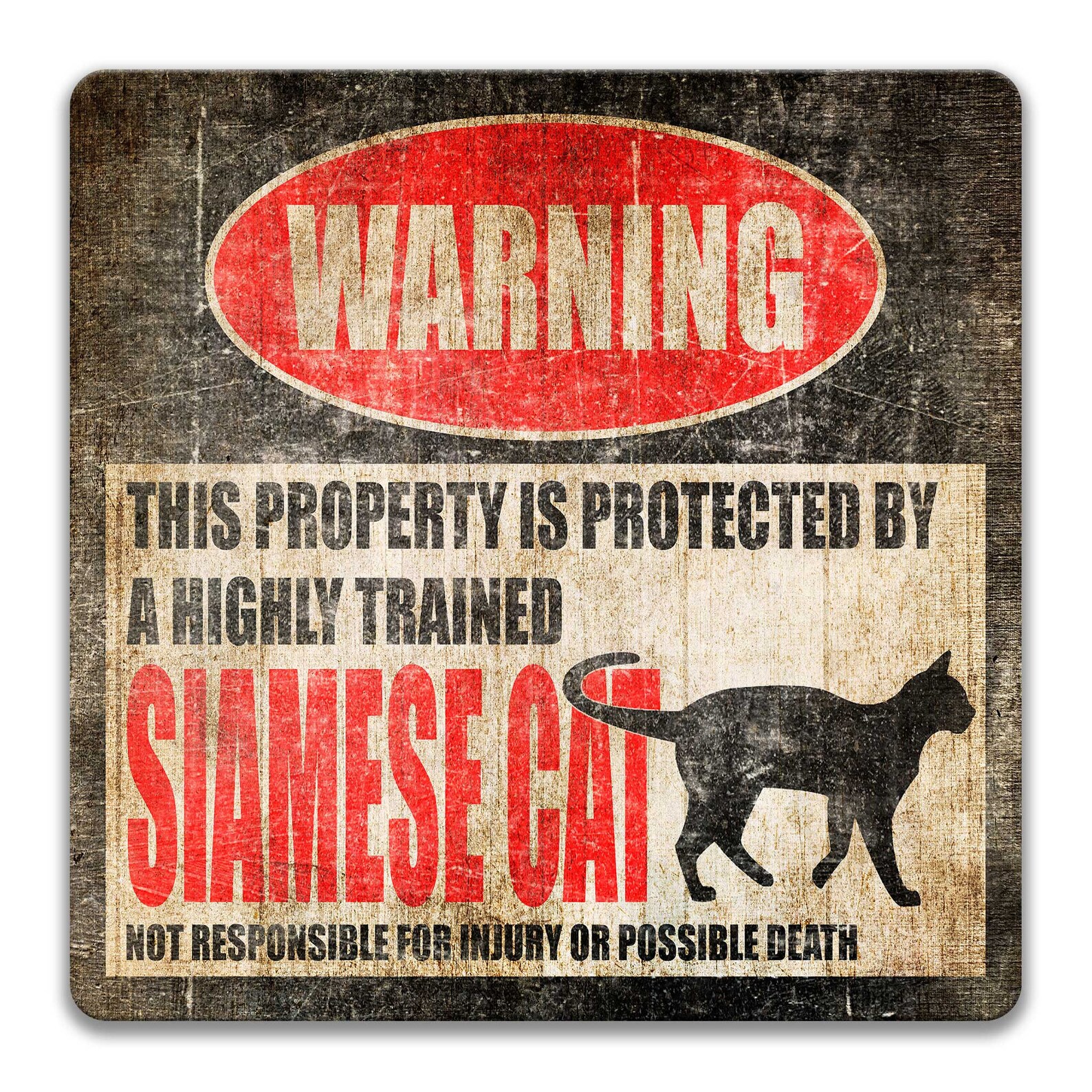 Funny Siamese Cat Sign Cat Warning Sign Cat Novelty Sign Cat - Etsy