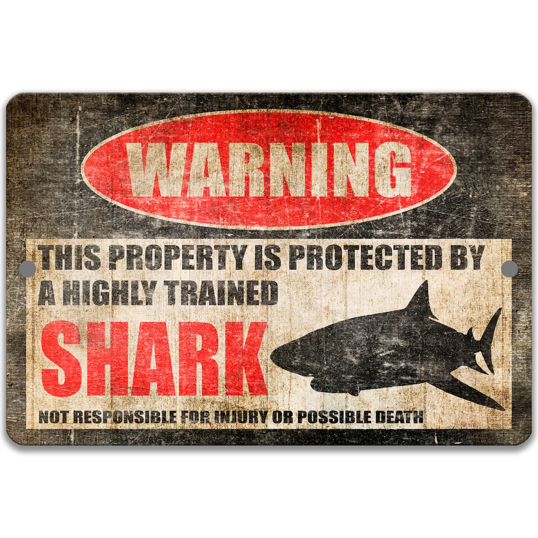Shark Sign, Funny Shark Warning Sign for Pool Area, Funny Boat Dock ...