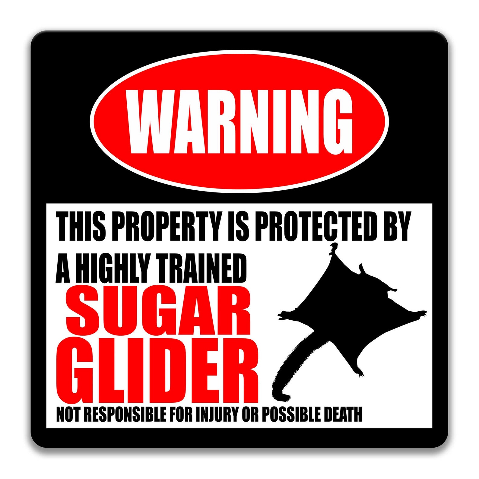 Sugar Glider Sign Pet Sugar Glider Sign Sugar Glider Accessories Sugar ...