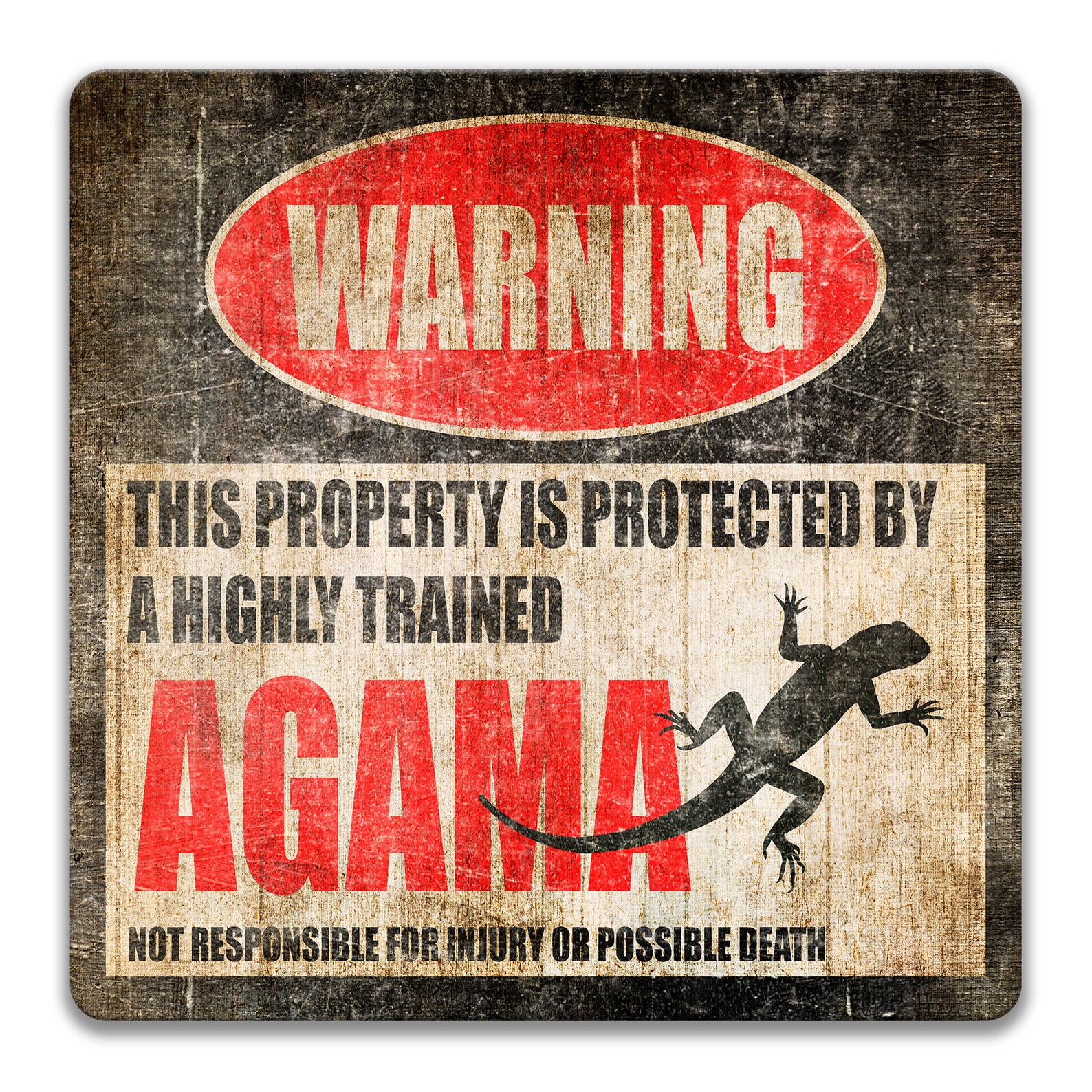 Funny Agama Warning Sign, Agama Decor, Lizard Decor, Reptile Pet ...