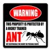 Funny Ant Warning Sign, Ant Decor, Ant Sign, Pest Sign, Insect Lover ...