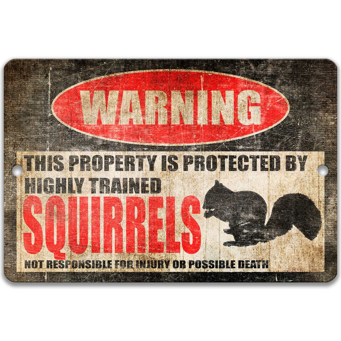 Protected by Squirrels Funny Squirrel Sign Animal Decor Pet | Etsy
